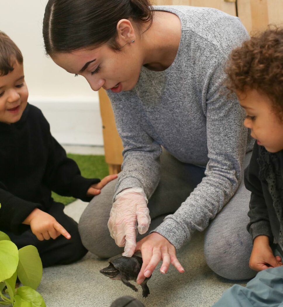 Quality education - LEYF Nurseries